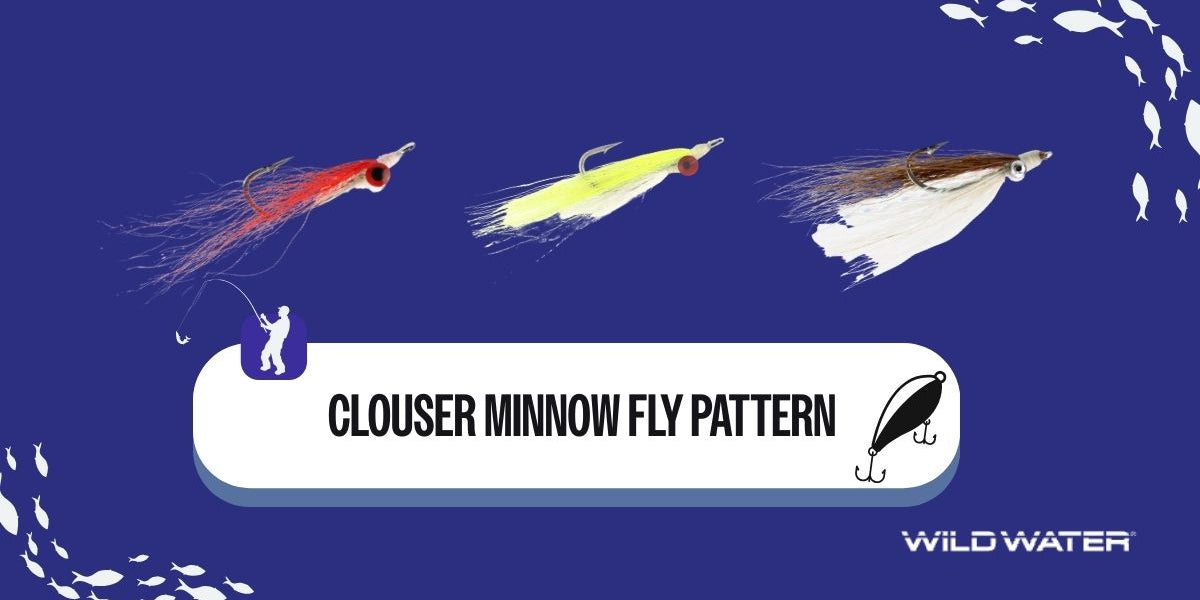 Clouser Minnow Fly Pattern: Colors, Sizes, and Techniques Why Trout Can ...