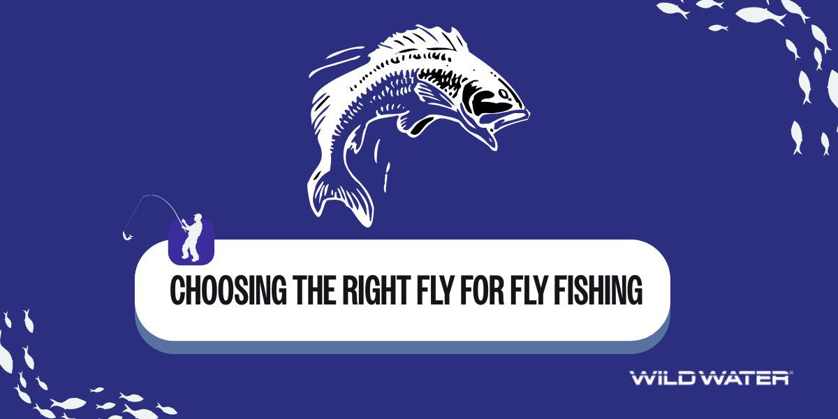 How to Pick the Right Fly for Fly Fishing (And Stop Getting Skunked ...