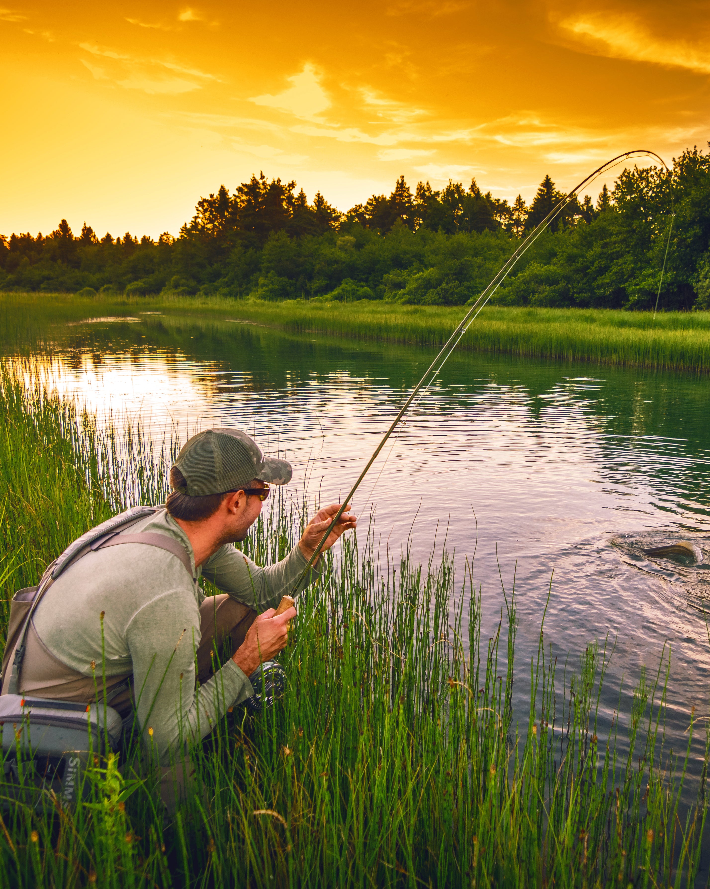 Wild Water Fly Fishing - Learn fly fishing the easy way for way less