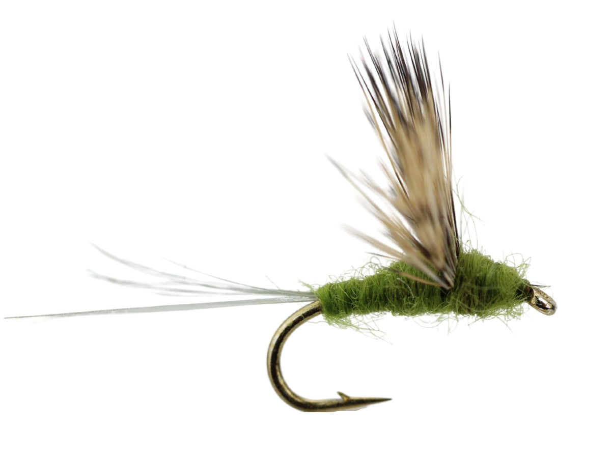 Baetis Comparadun Fly Pattern | Wild Water Fly Fishing