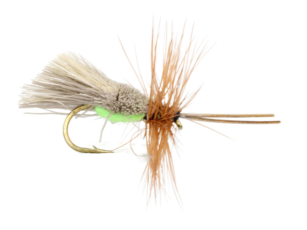 Goddard Natural Caddis With Chartreuse Belly Size 12 | Wild Water Fly ...