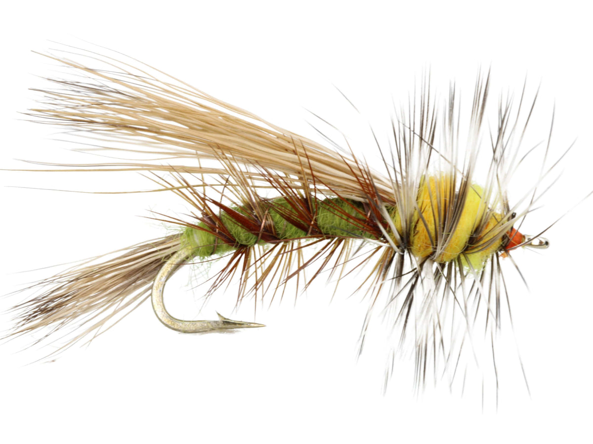 Green Stimulator Dry Fly Pattern | Wild Water Fly Fishing